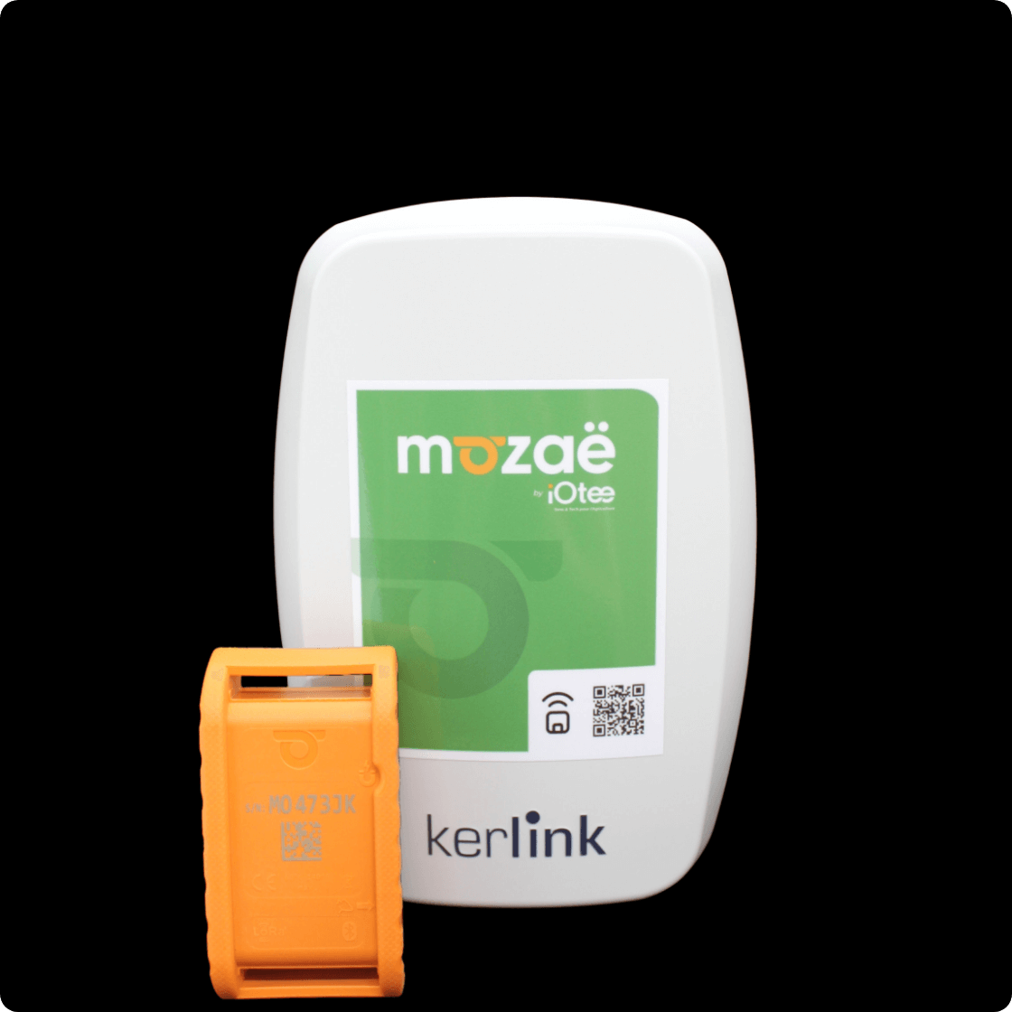 Mozae • iOtee